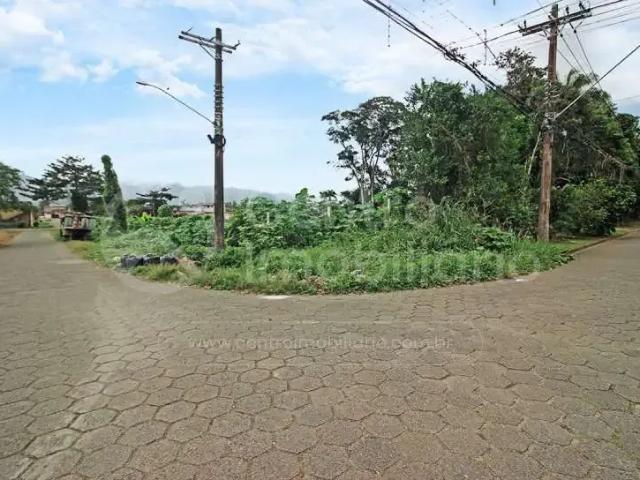 Terreno / Lote para Venda em Peruíbe/SP Jardim Ribamar