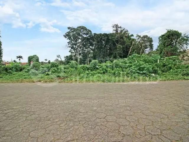 Terreno / Lote para Venda em Peruíbe/SP Jardim Ribamar