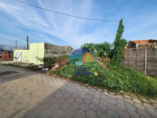 Terreno / Lote para Venda em Peruíbe/SP Jardim Ribamar