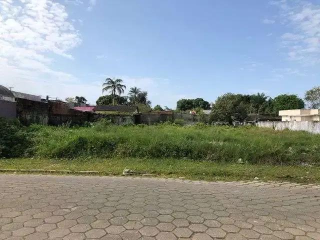 Terreno / Lote para Venda em Peruíbe/SP Jardim Ribamar