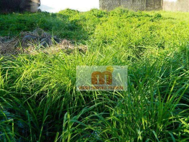 Terreno / Lote para Venda em Peruíbe/SP Jardim Star