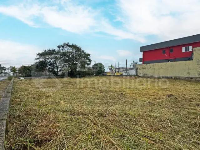 Terreno / Lote para Venda em Peruíbe/SP Jardim Star