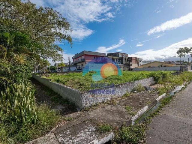 Terreno / Lote para Venda em Peruíbe/SP Jardim Star