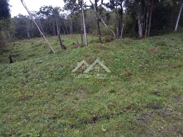 Terreno / Lote para Venda em Peruíbe/SP Jardim São Francisco