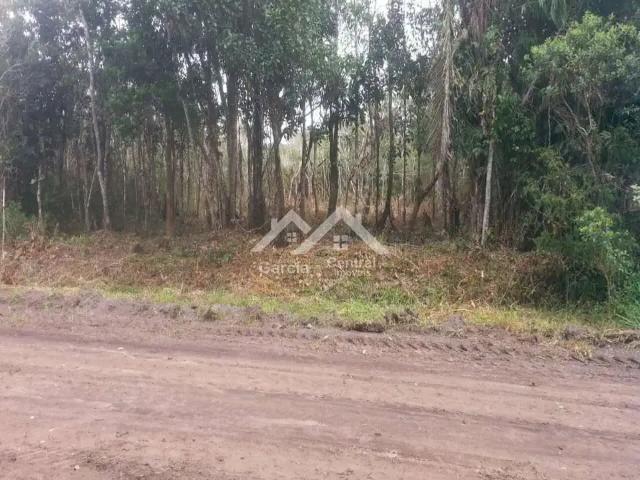 Terreno / Lote para Venda em Peruíbe/SP Jardim São Francisco