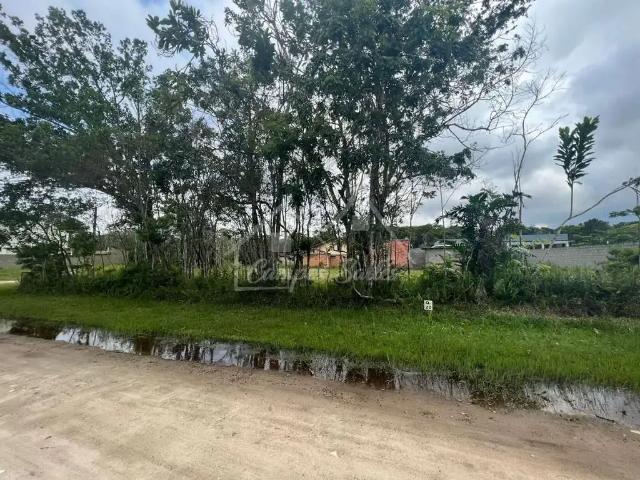 Terreno / Lote para Venda em Peruíbe/SP Jardim São Luis
