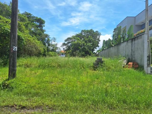 Terreno / Lote para Venda em Peruíbe/SP Jardim São Luis