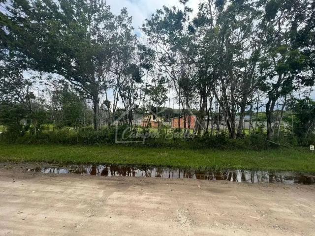 Terreno / Lote para Venda em Peruíbe/SP Jardim São Luis