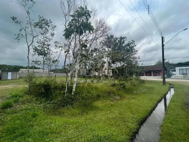 Terreno / Lote para Venda em Peruíbe/SP Jardim São Luis