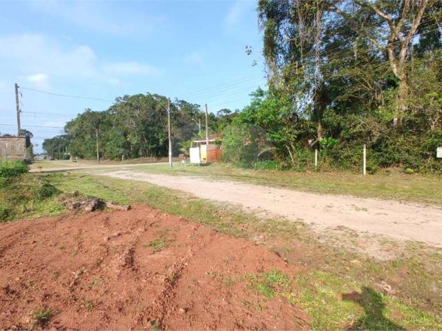 Terreno / Lote para Venda em Peruíbe/SP Jardim São Luis
