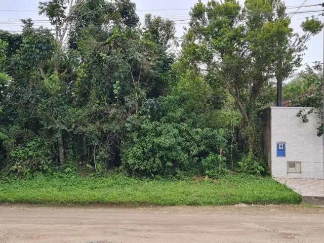 Terreno / Lote para Venda em Peruíbe/SP Jardim São Luis