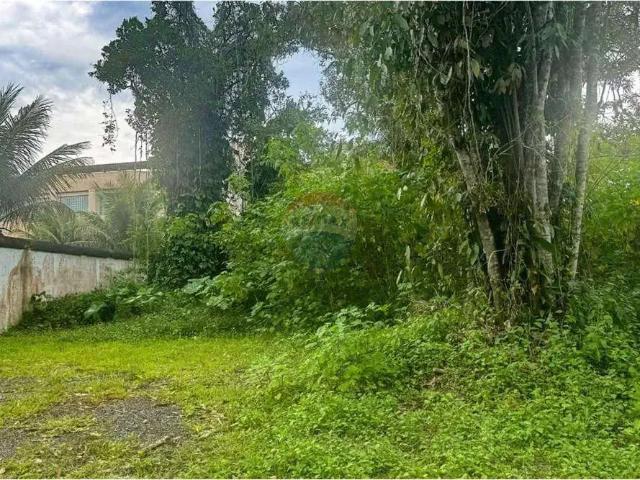 Terreno / Lote para Venda em Peruíbe/SP Jardim São Luis