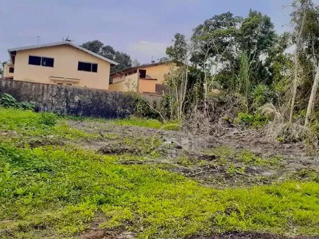 Terreno / Lote para Venda em Peruíbe/SP Jardim São Luis