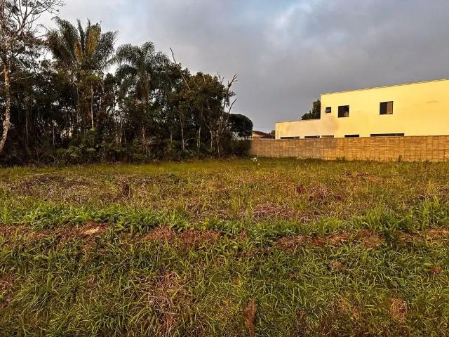 Terreno / Lote para Venda em Peruíbe/SP Jardim São Luis