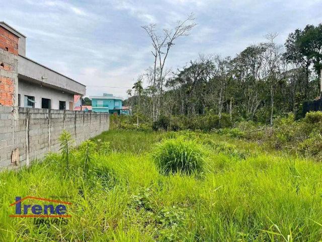 Terreno / Lote para Venda em Peruíbe/SP Jardim São Luis