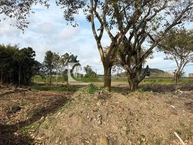Terreno / Lote para Venda em Peruíbe/SP jardim Somar