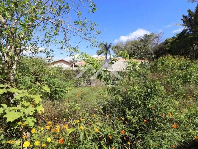 Terreno / Lote para Venda em Peruíbe/SP Jardim Veneza