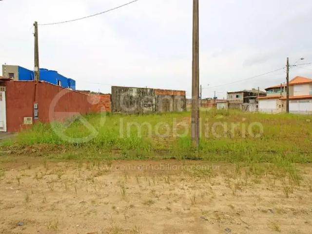Terreno / Lote para Venda em Peruíbe/SP Jardim Veneza