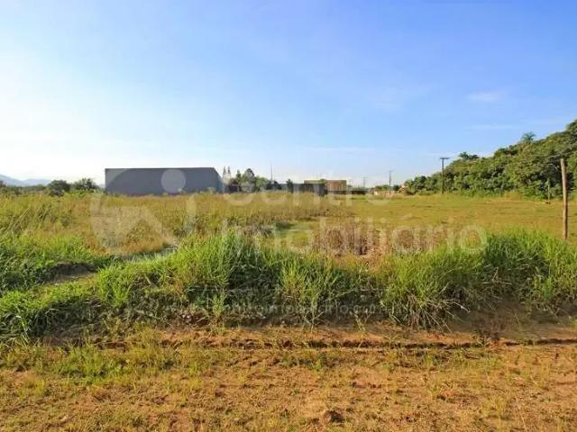 Terreno / Lote para Venda em Peruíbe/SP Jardim Veneza