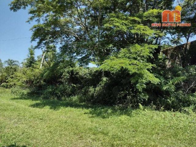 Terreno / Lote para Venda em Peruíbe/SP Santa Gabriela