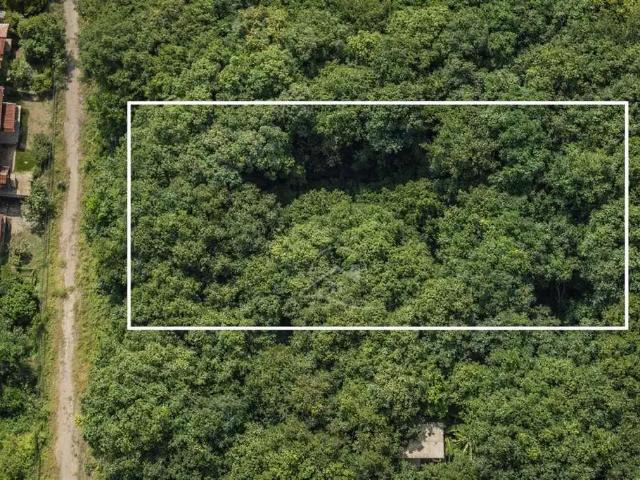 Terreno / Lote para Venda em Peruíbe/SP Santa Gabriela