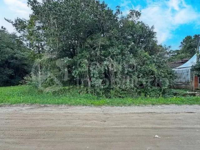 Terreno / Lote para Venda em Peruíbe/SP Santa Gabriela