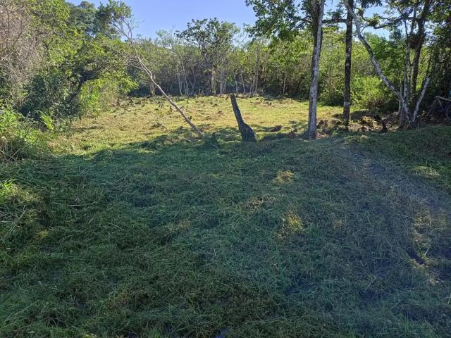 Terreno / Lote para Venda em Peruíbe/SP Santa Gabriela