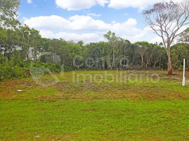 Terreno / Lote para Venda em Peruíbe/SP Santa Gabriela
