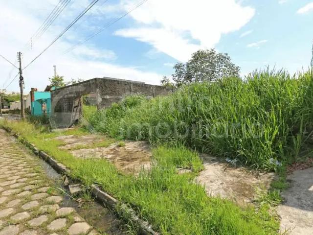 Terreno / Lote para Venda em Peruíbe/SP Parque Balneário Oásis