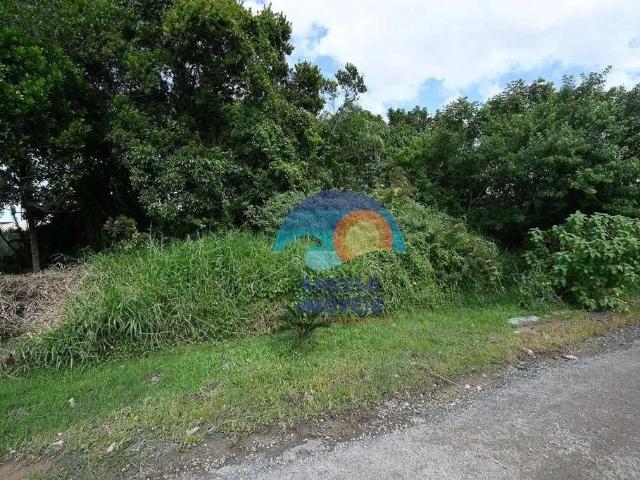 Terreno / Lote para Venda em Peruíbe/SP Parque Balneário Oásis