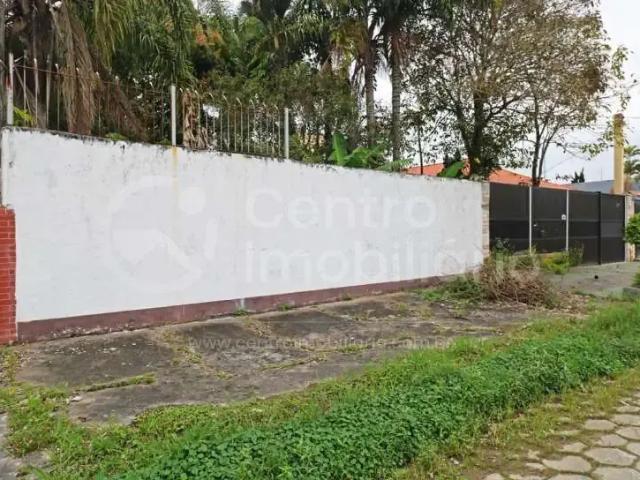 Terreno / Lote para Venda em Peruíbe/SP Parque Balneário Oásis
