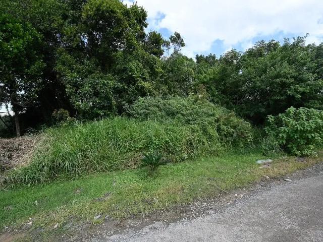Terreno / Lote para Venda em Peruíbe/SP Parque Balneário Oásis
