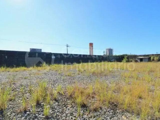 Terreno / Lote para Venda em Peruíbe/SP Parque D'Aville