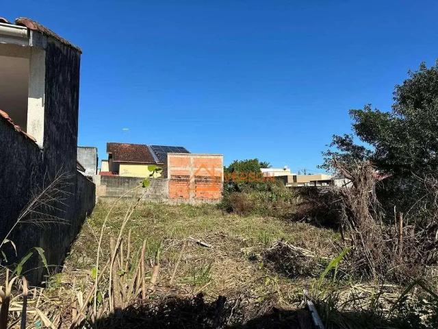 Terreno / Lote para Venda em Peruíbe/SP Parque D'Aville