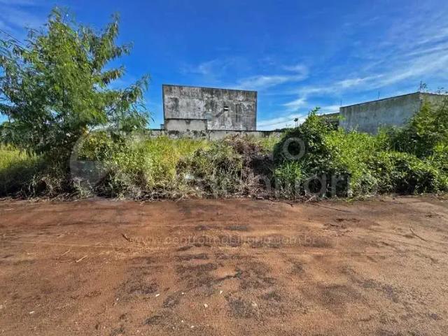 Terreno / Lote para Venda em Peruíbe/SP Parque Turístico