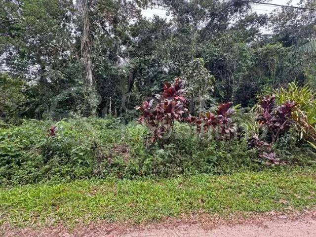 Terreno / Lote para Venda em Peruíbe/SP Quinta Do Guarau