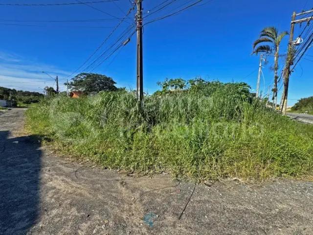 Terreno / Lote para Venda em Peruíbe/SP Vila Erminda