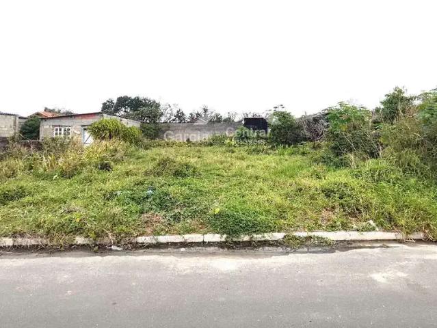 Terreno / Lote para Venda em Peruíbe/SP Vila Erminda