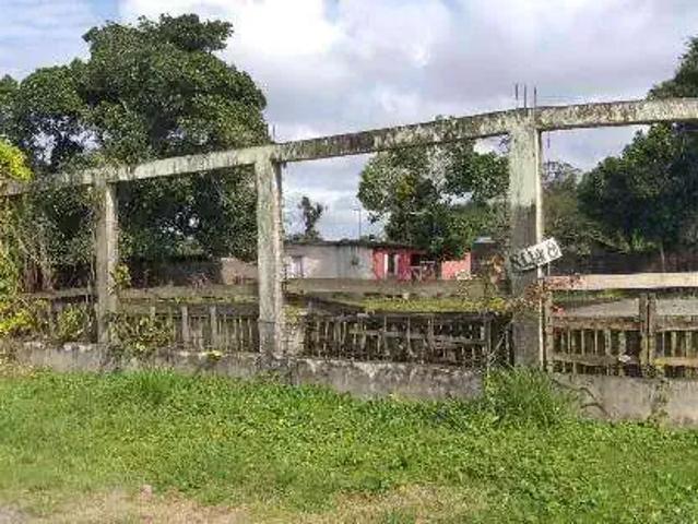 Terreno / Lote para Venda em Peruíbe/SP Vila Peruibe