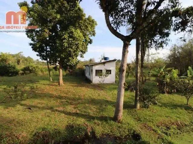 Terreno / Lote para Venda em Peruíbe/SP Vila Peruibe