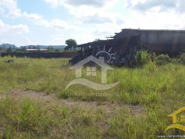 Terreno / Lote para Venda em Peruíbe/SP Vila Peruibe