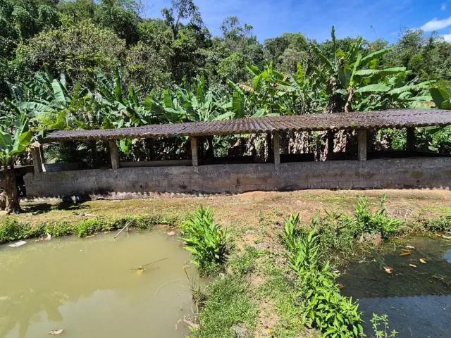 Terreno / Lote para Venda em Peruíbe/SP Zona Rural