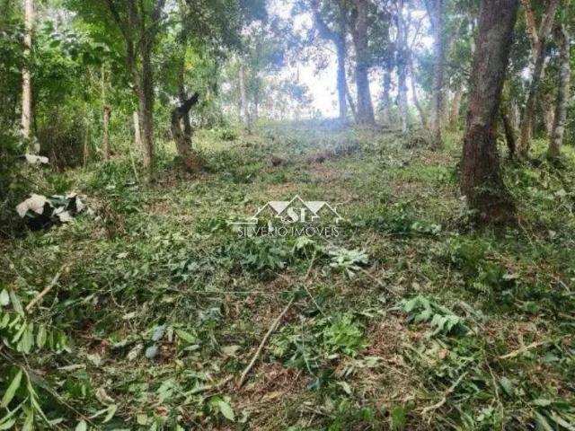 Terreno / Lote para Venda em Petrópolis/RJ Caxambu
