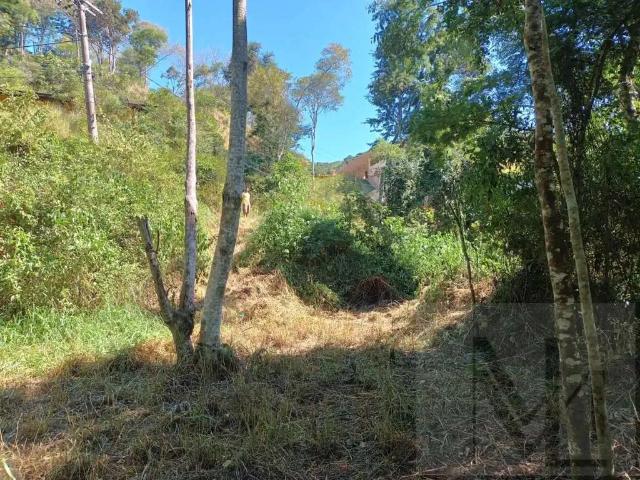 Terreno / Lote para Venda em Petrópolis/RJ Itaipava