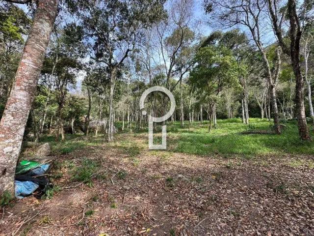 Terreno / Lote para Venda em Petrópolis/RJ Itaipava