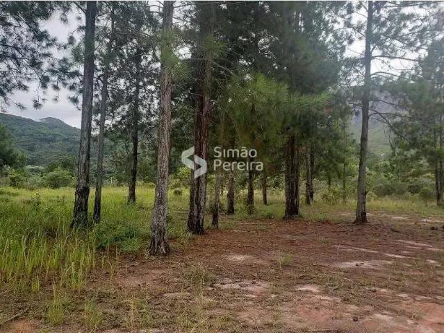 Terreno / Lote para Venda em Petrópolis/RJ Itaipava