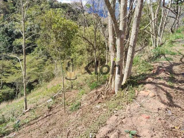 Terreno / Lote para Venda em Petrópolis/RJ Itaipava