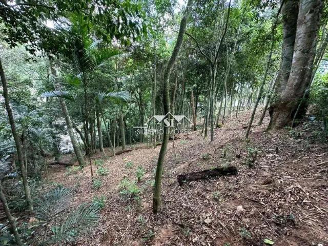 Terreno / Lote para Venda em Petrópolis/RJ Mosela