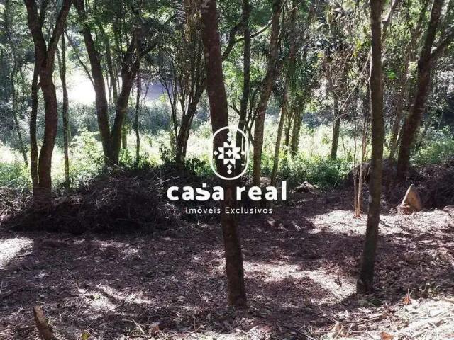 Terreno / Lote para Venda em Petrópolis/RJ Samambaia