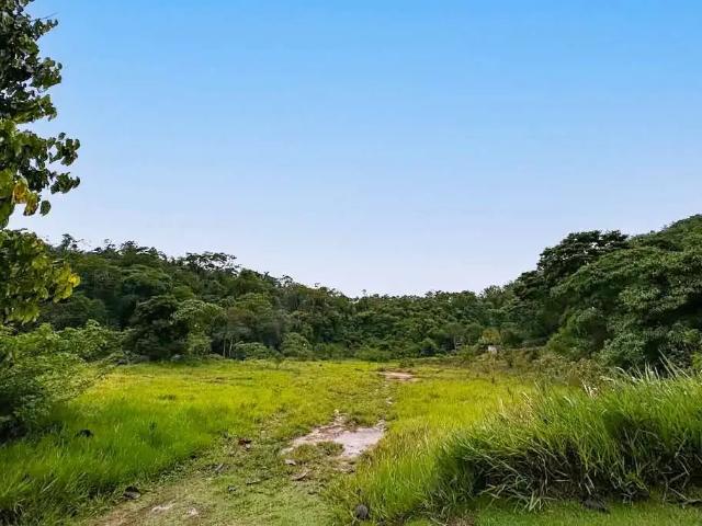 Terreno / Lote para Venda em Petrópolis/RJ Pedro do Rio